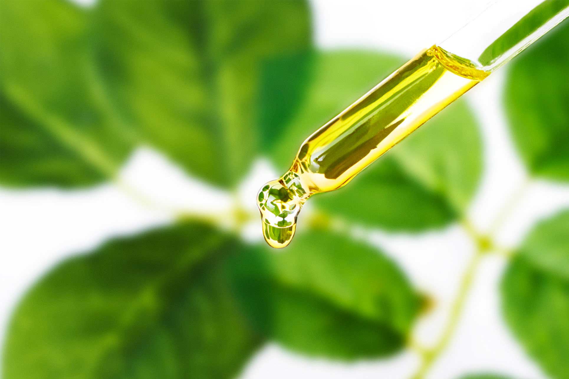 Squalane vs. Squalene | Beauty Forecast™ | Pour Moi