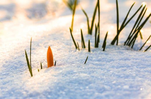 How Seasonal Climate Changes Affect Your Skin